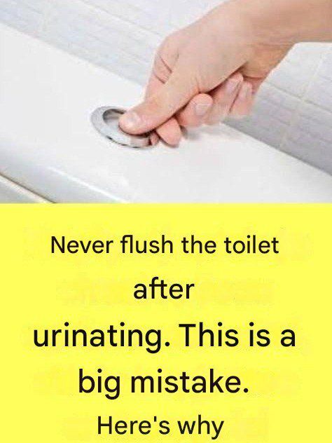 Why Is It Extremely Important Not to Flush the Toilet After Every ...